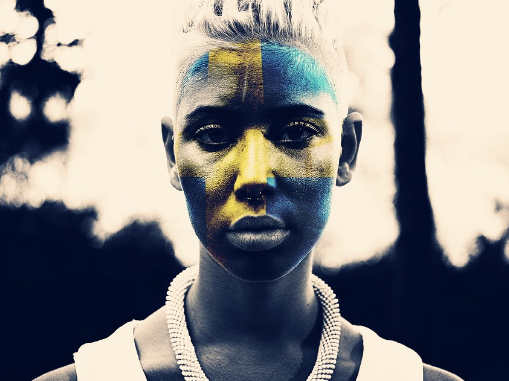 Wie Multikulturalismus scheitert – Beispiel Schweden – AfD Frankenthal